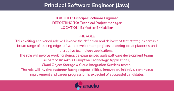 Principal Software Engineer (Java) Job at Anaeko